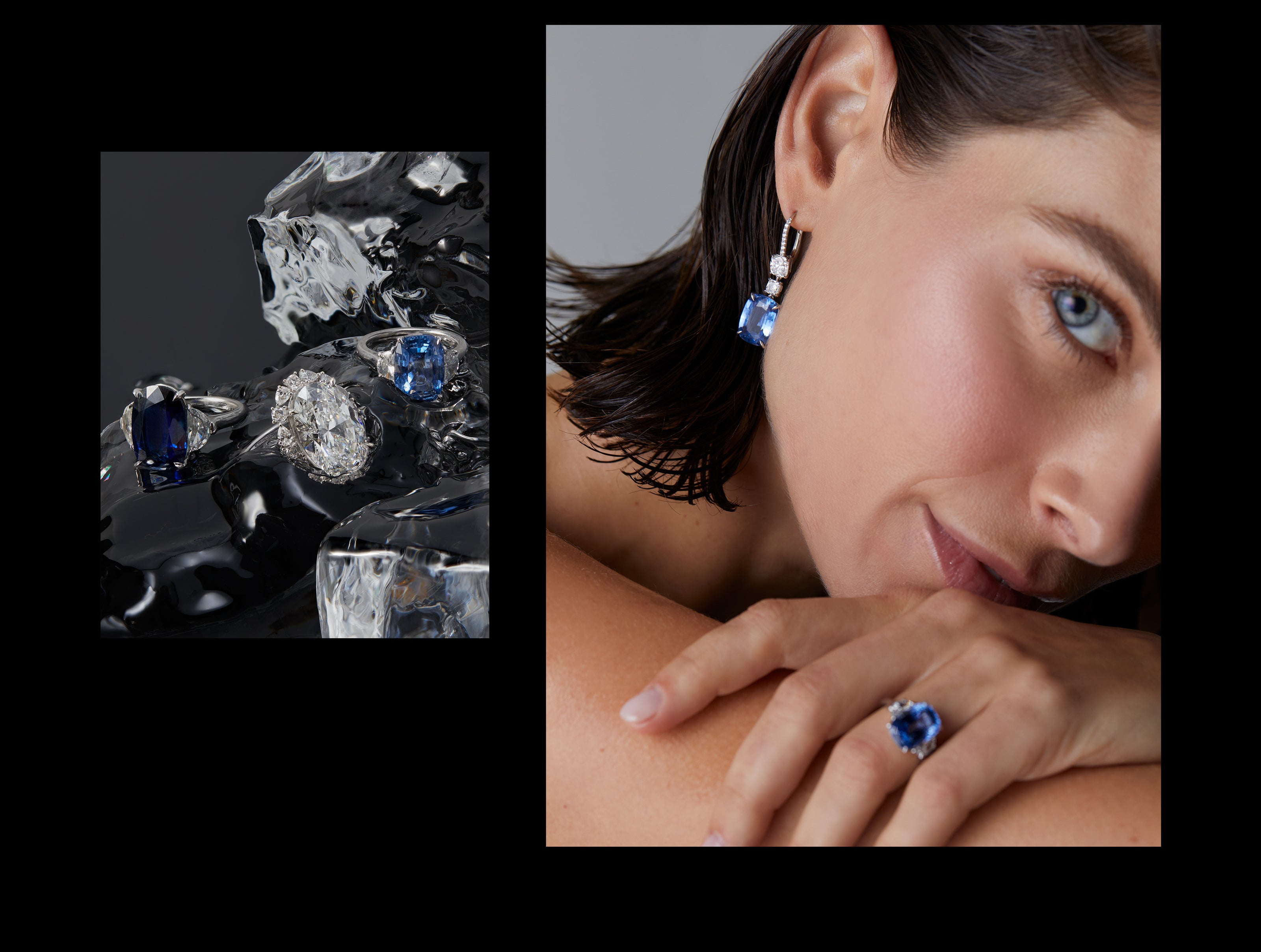 Prestige Collection | Stephanie Gottlieb