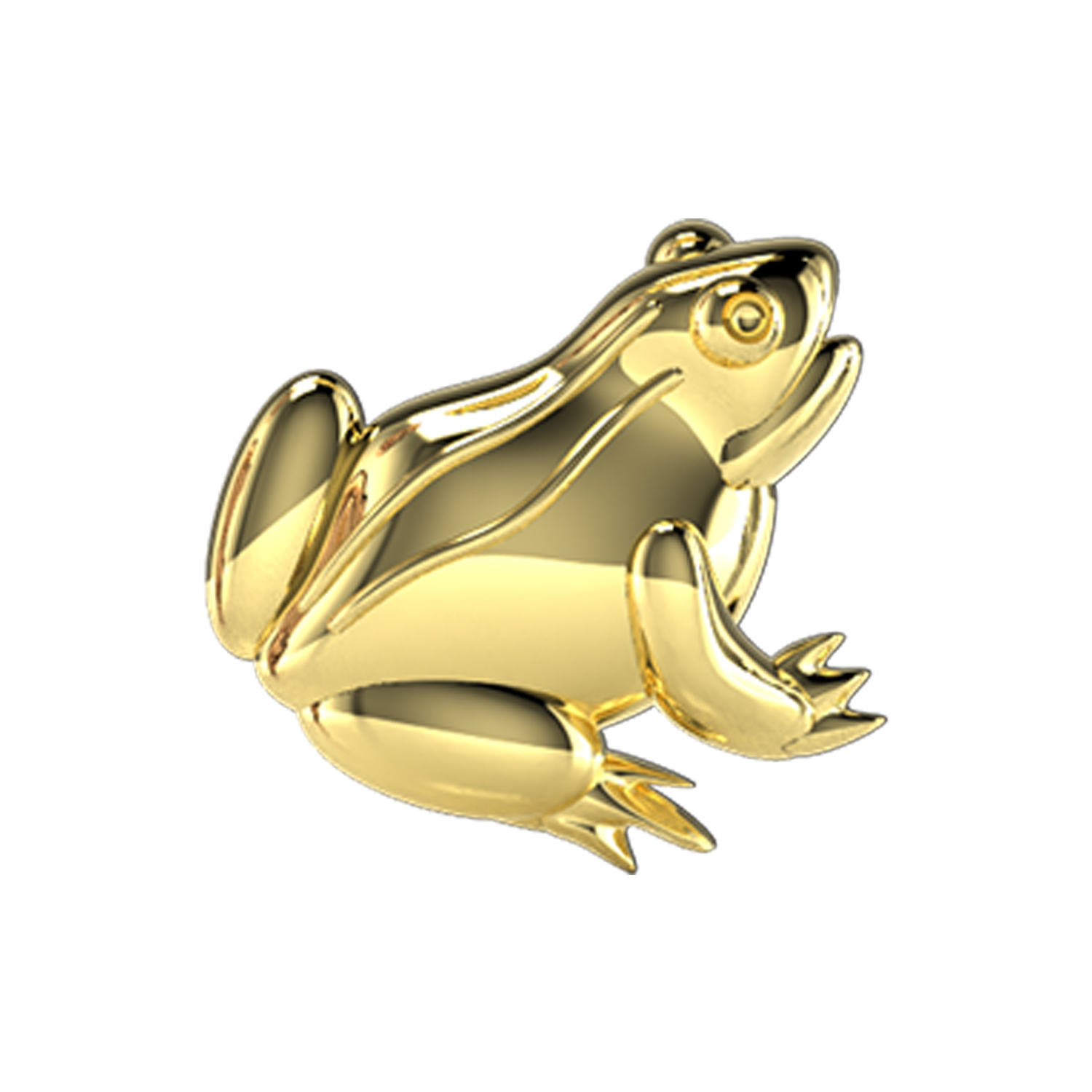 Frog Slider Charm